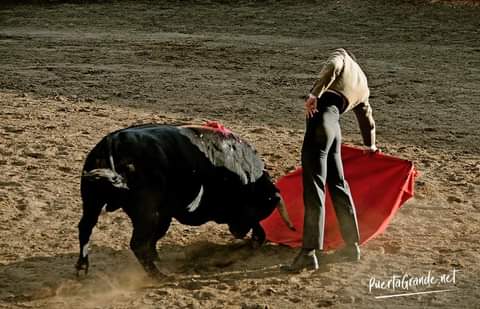 SEBASTIAN CAQUEZA UNA REALIDAD – Taurinos Solidarios